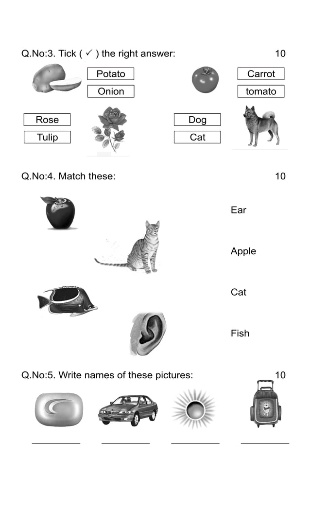 Prep all papers | PDF