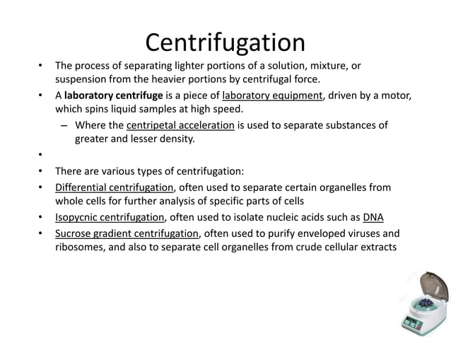 Prep and Modern Bio Techniques | PPTX | Biological Sciences | Science