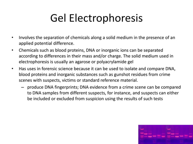 Prep and Modern Bio Techniques | PPTX | Biological Sciences | Science