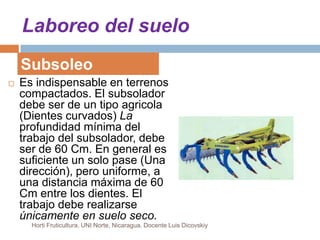 Preparacion Suelos en Hortalizas | PPTX