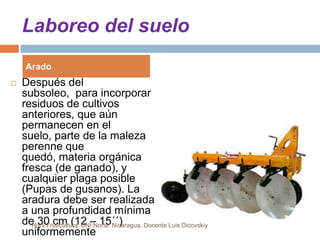 Preparacion Suelos en Hortalizas | PPTX