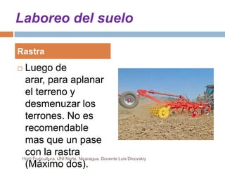 Preparacion Suelos en Hortalizas | PPTX