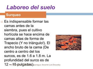 Preparacion Suelos en Hortalizas | PPTX