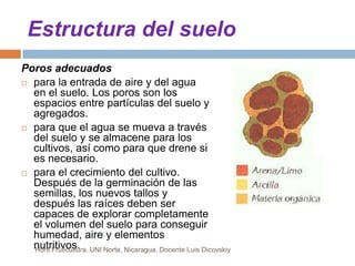 Preparacion Suelos en Hortalizas | PPTX