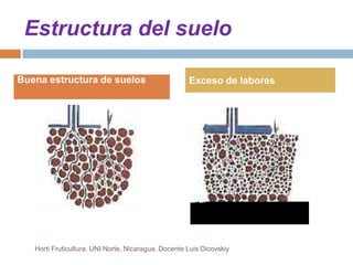 Preparacion Suelos en Hortalizas | PPTX