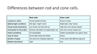 optogenetics photobiology and ift biology - ravi ranjan | PPT