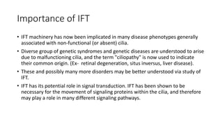 optogenetics photobiology and ift biology - ravi ranjan | PPTX