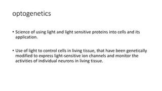 optogenetics photobiology and ift biology - ravi ranjan | PPTX | Eye ...