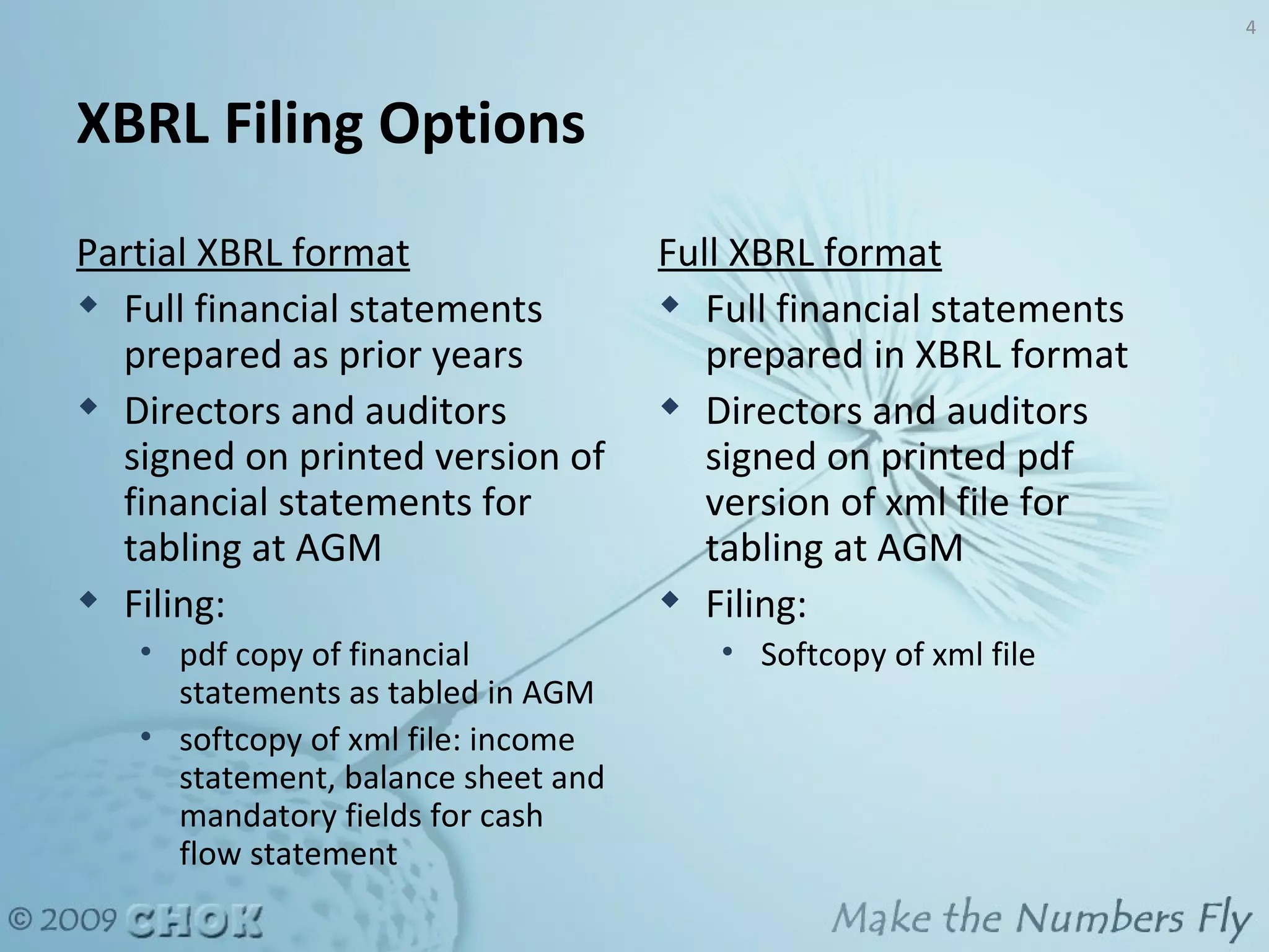 Preparation Of Financial Statements In Xbrl Format | PPS