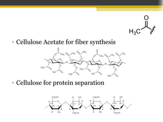 Preparation and characterization cellulose draft final final | PPT
