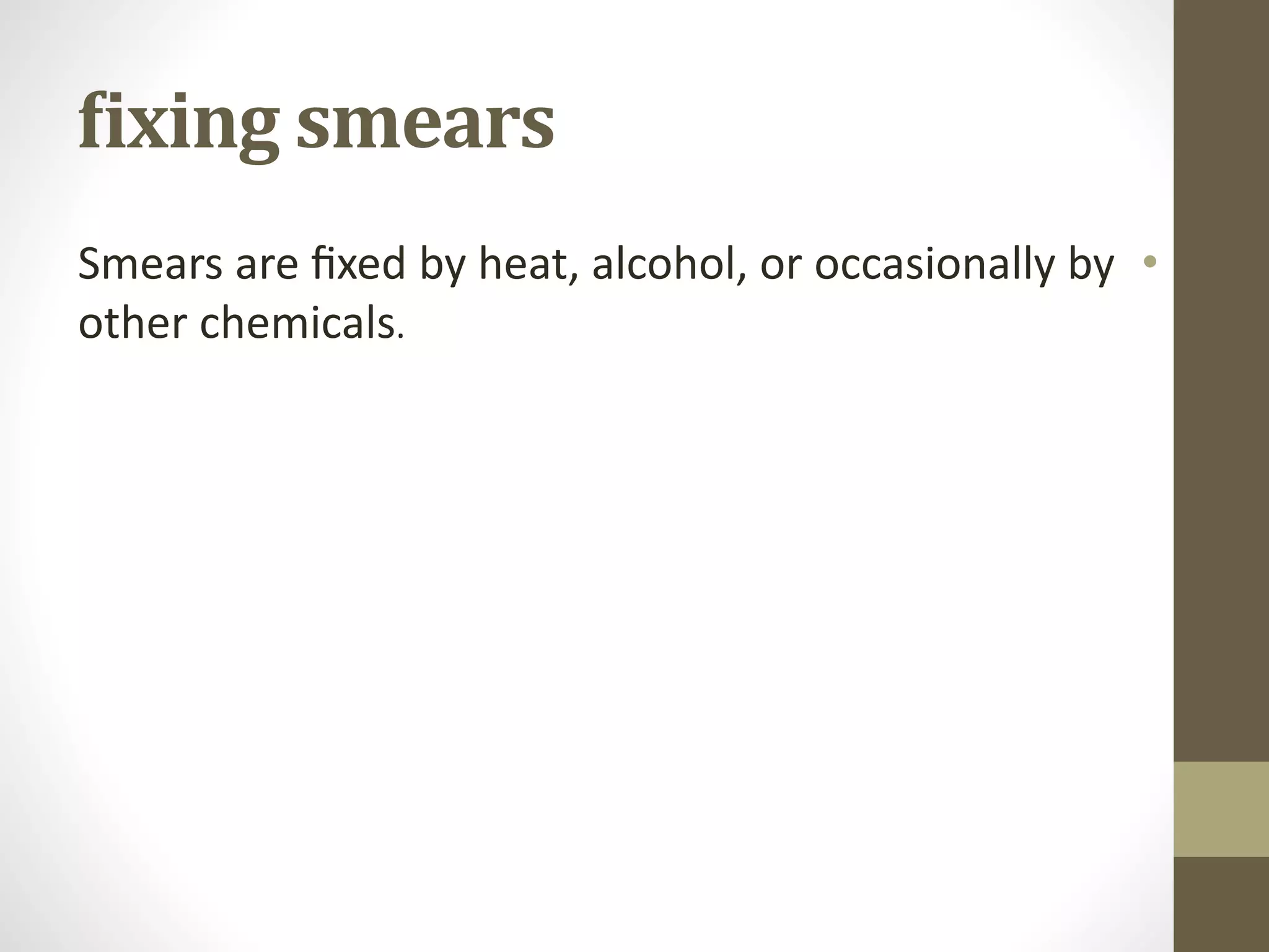 Preparation and fixation of bacteria smears.pptx