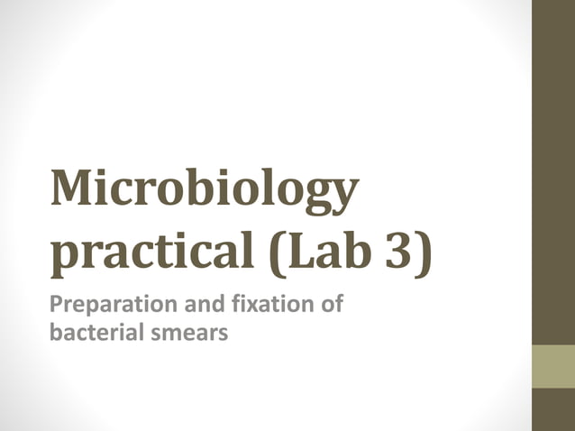 Preparation and fixation of bacteria smears.pptx | Chemistry | Science