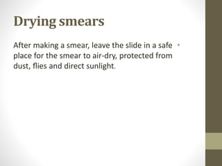 Preparation and fixation of bacteria smears.pptx