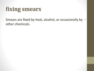 Preparation and fixation of bacteria smears.pptx