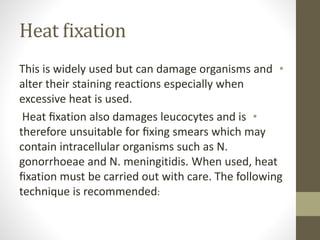 Preparation and fixation of bacteria smears.pptx