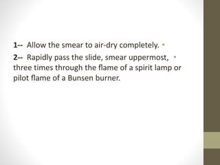 Preparation and fixation of bacteria smears.pptx