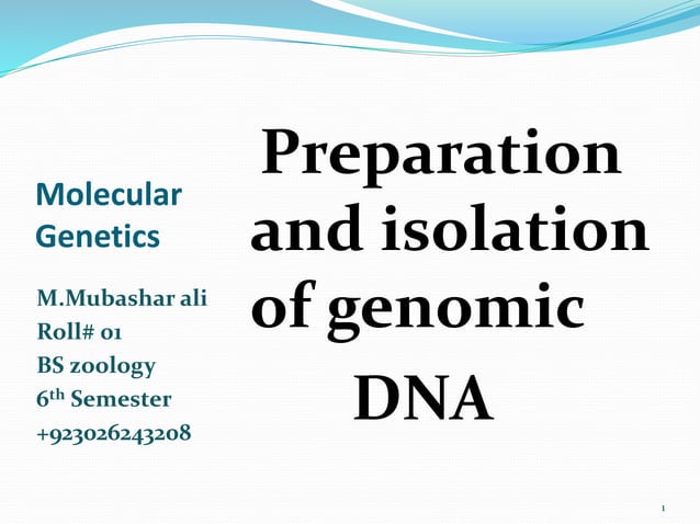 Preparation and isolation of genomic | PPTX | Genetics | Science