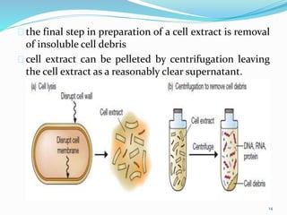 Preparation and isolation of genomic | PPTX