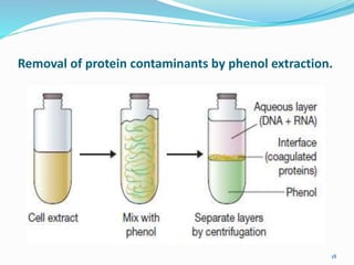 Preparation and isolation of genomic | PPTX