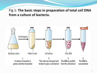 Preparation and isolation of genomic | PPTX