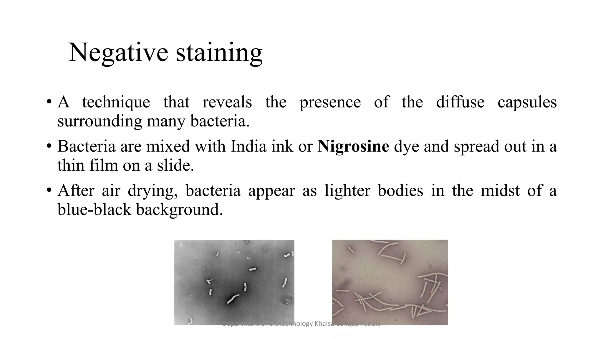 Preparation and staining of specimens for microscopy | PDF