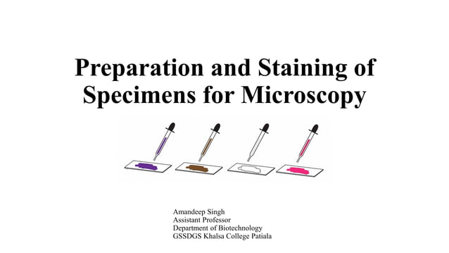 Preparation and staining of specimens for microscopy | PDF | Chemistry ...