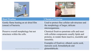 Preparation and staining of specimens for microscopy | PDF