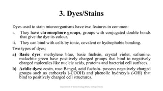 Preparation and staining of specimens for microscopy | PDF