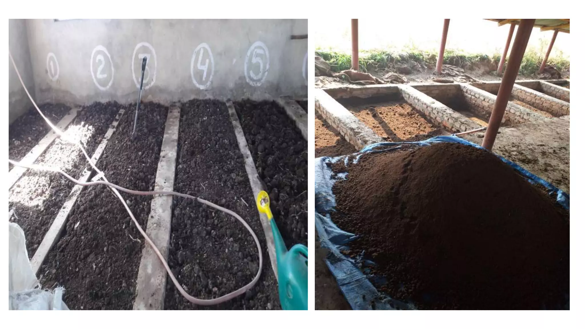 Preparation and uses of vermicompost and biofertilizers | PPTX