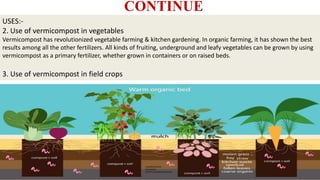 Vermicompost Preparation
