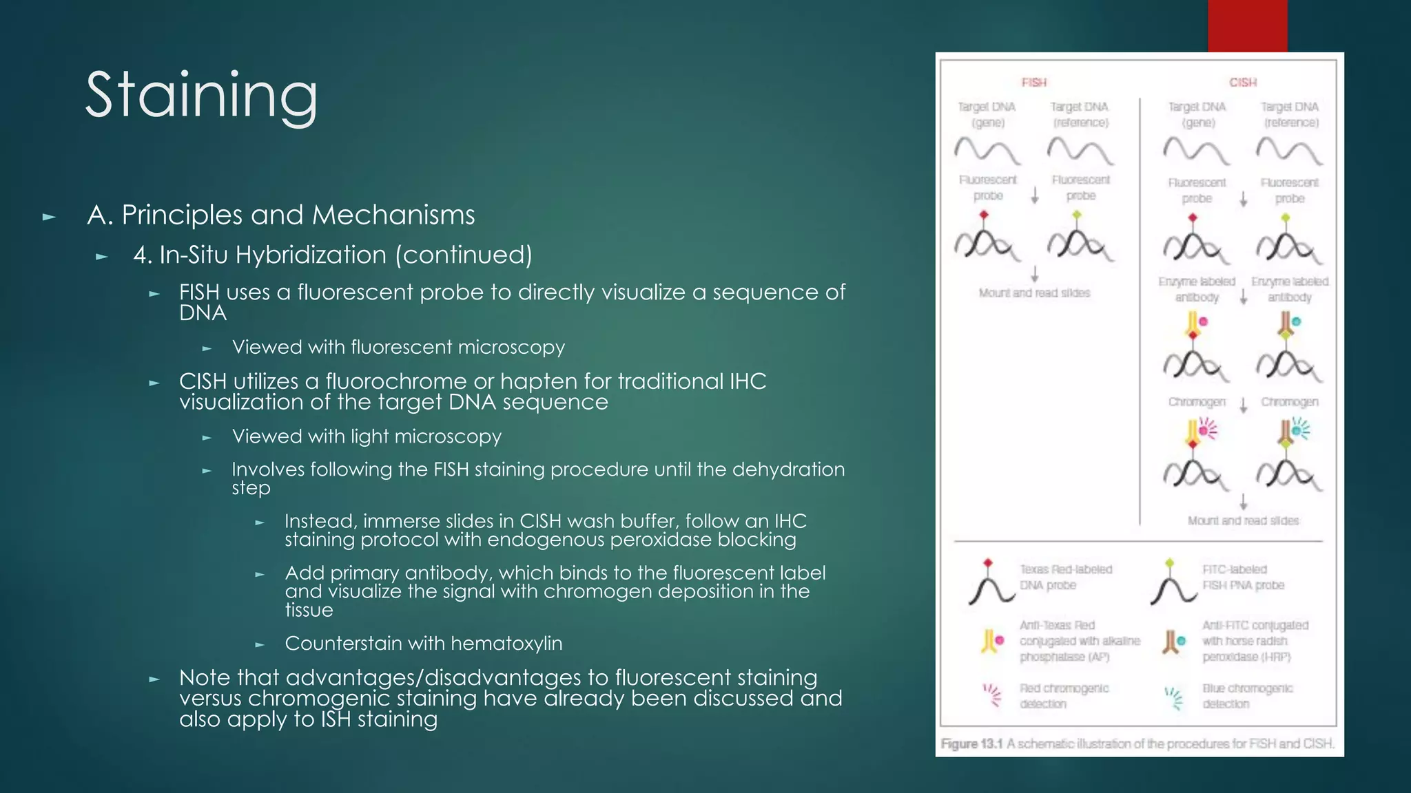 Preparation for the QIHC ExamFinal.pdf