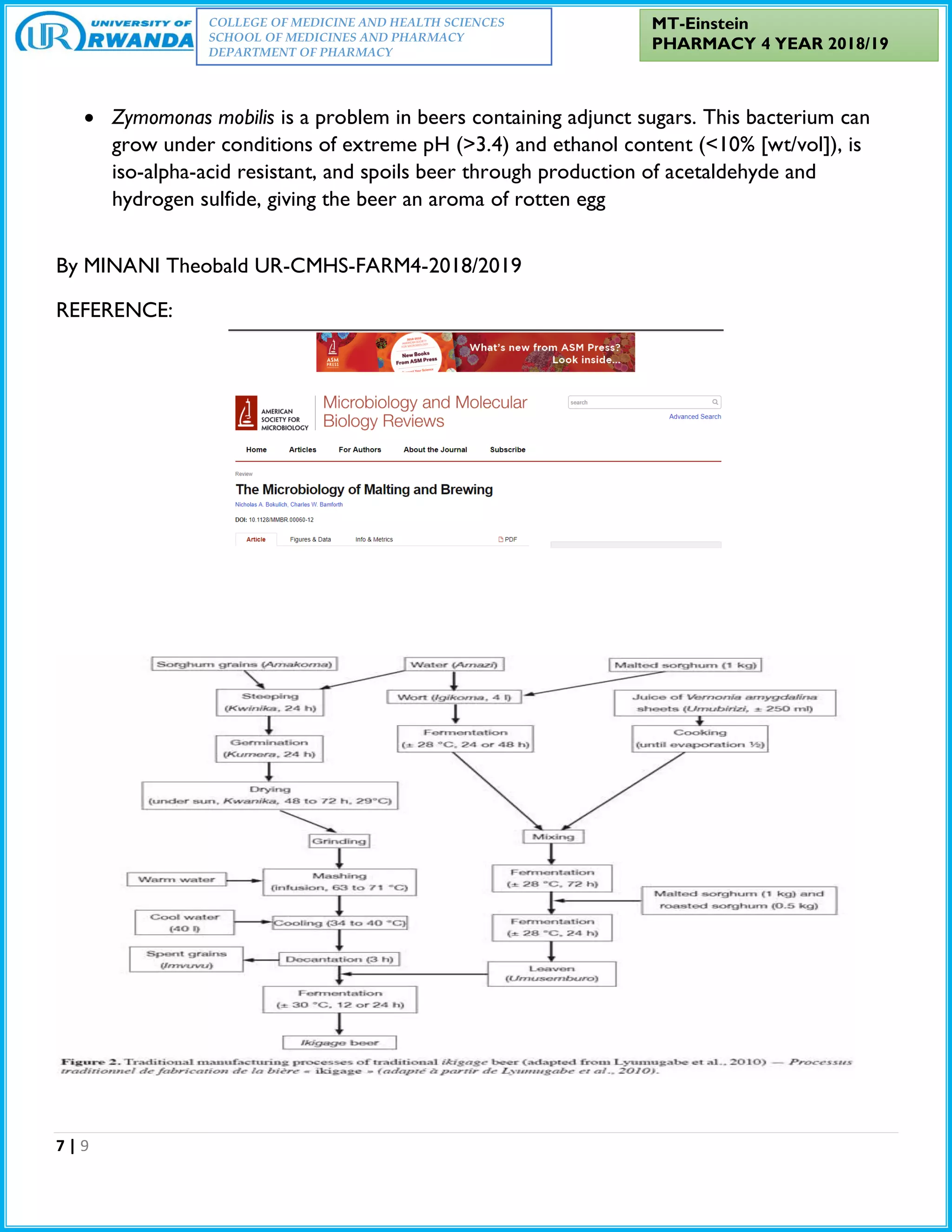 SORGHUM BEER PREPARATION | PDF