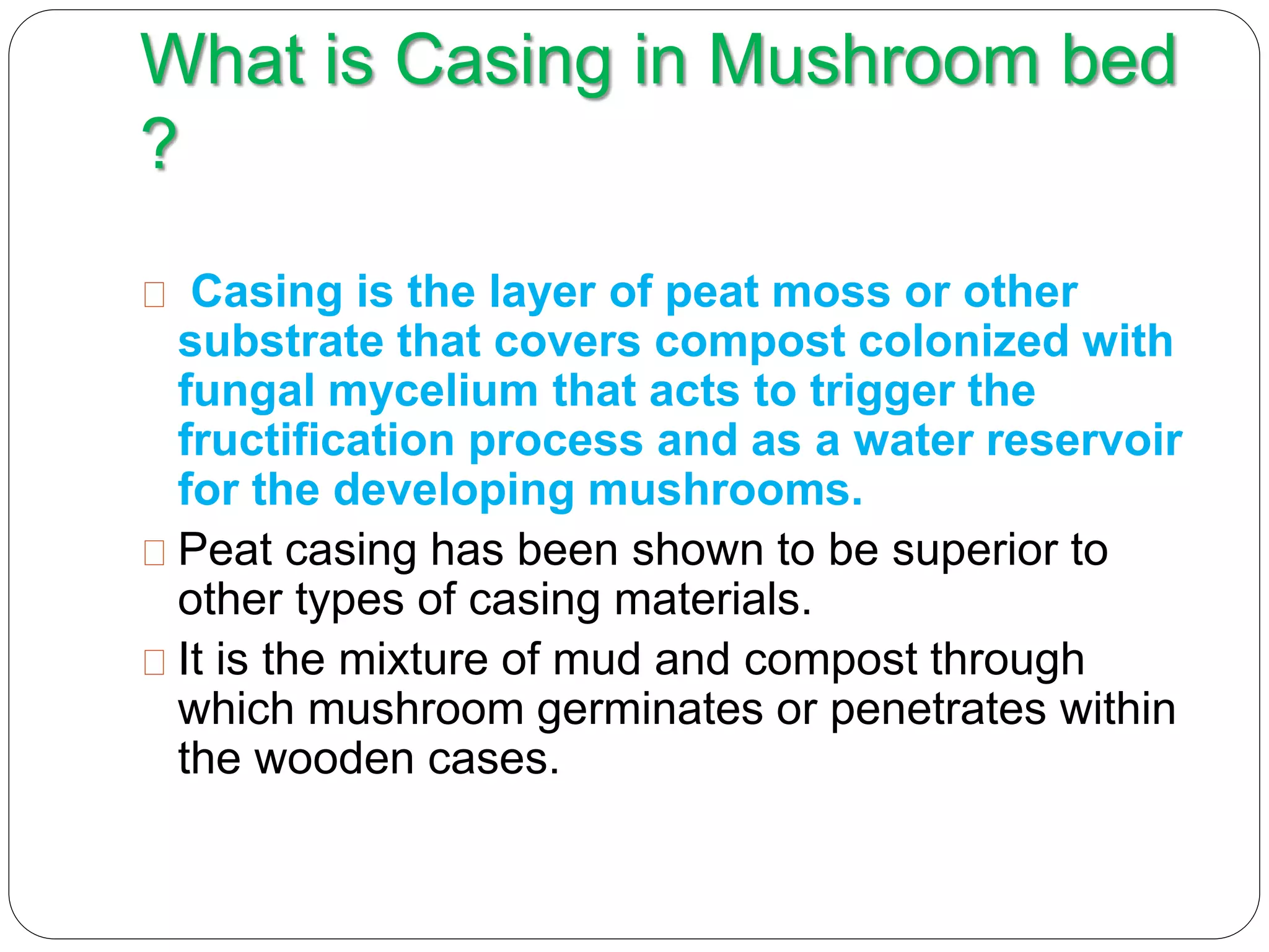 Preparation of casing mixture, its types and application | PPTX