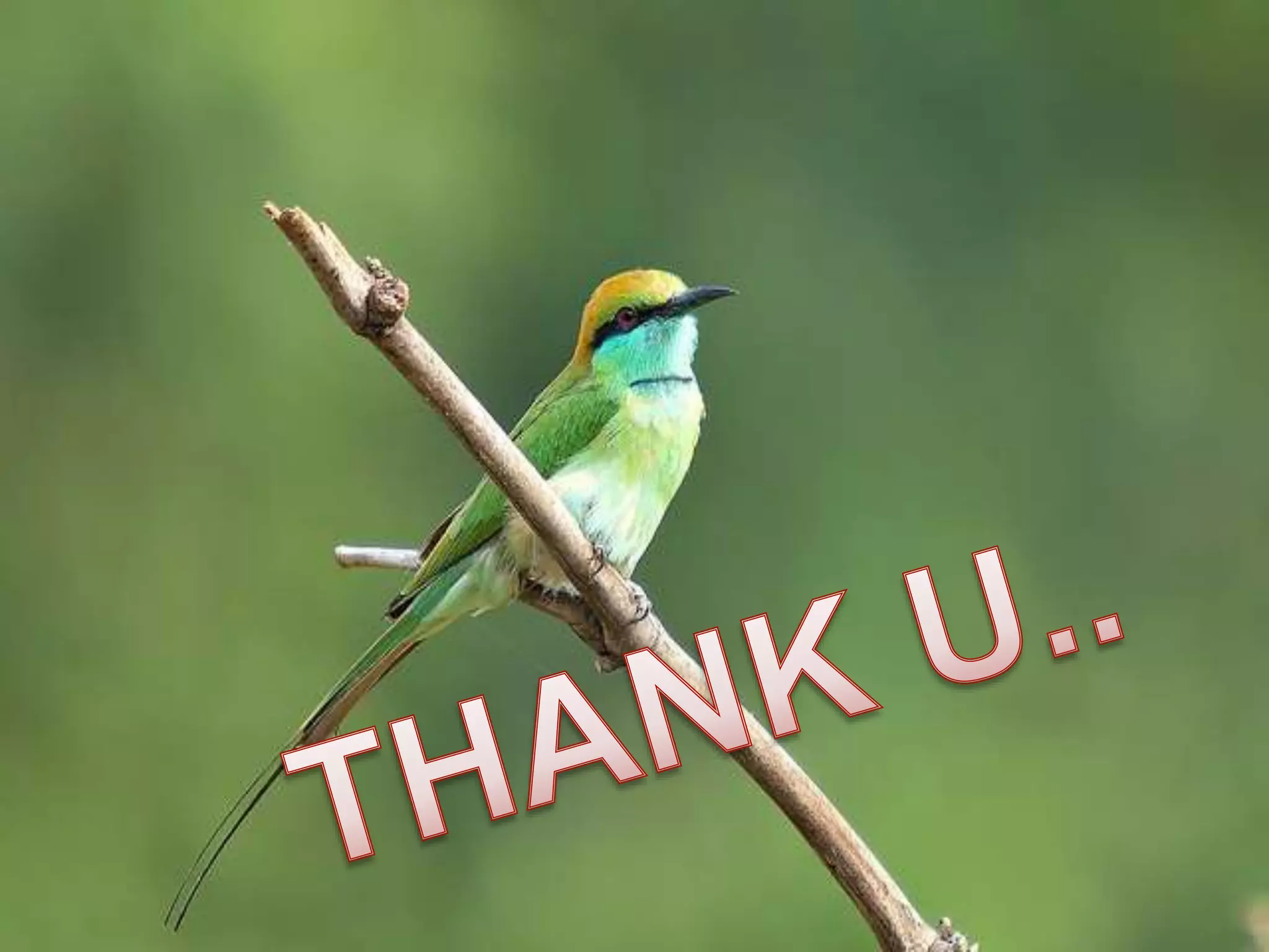 Preparation of casing mixture, its types and application | PPTX