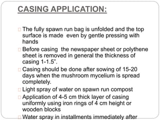 Preparation of casing mixture, its types and application | PPTX