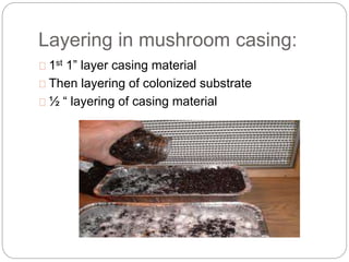 Preparation of casing mixture, its types and application | PPTX