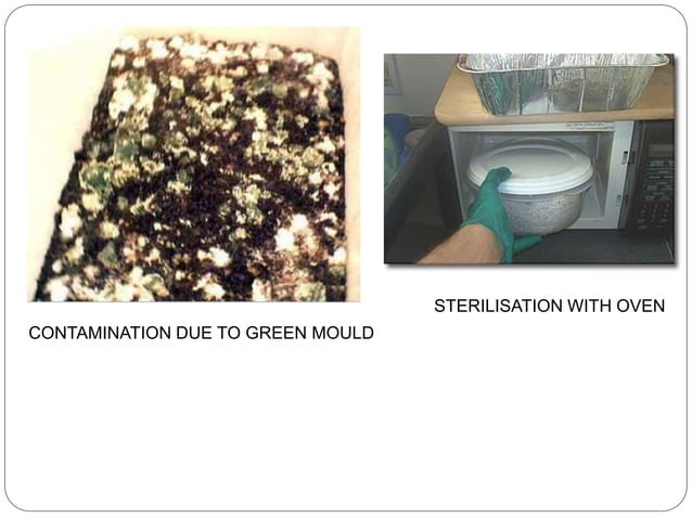 Preparation of casing mixture, its types and application | PPTX