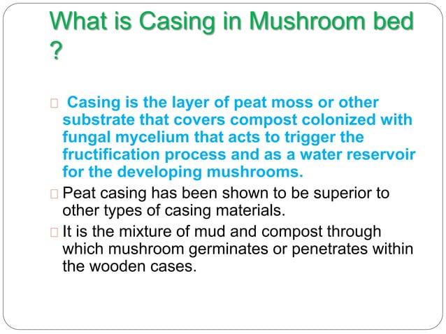 Preparation of casing mixture, its types and application | PPTX