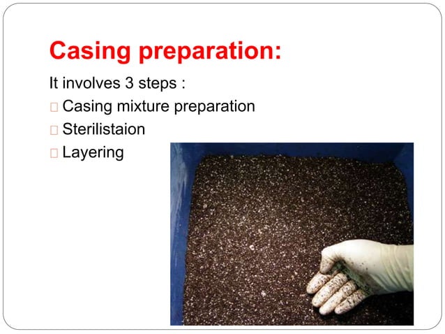 Preparation of casing mixture, its types and application | PPTX