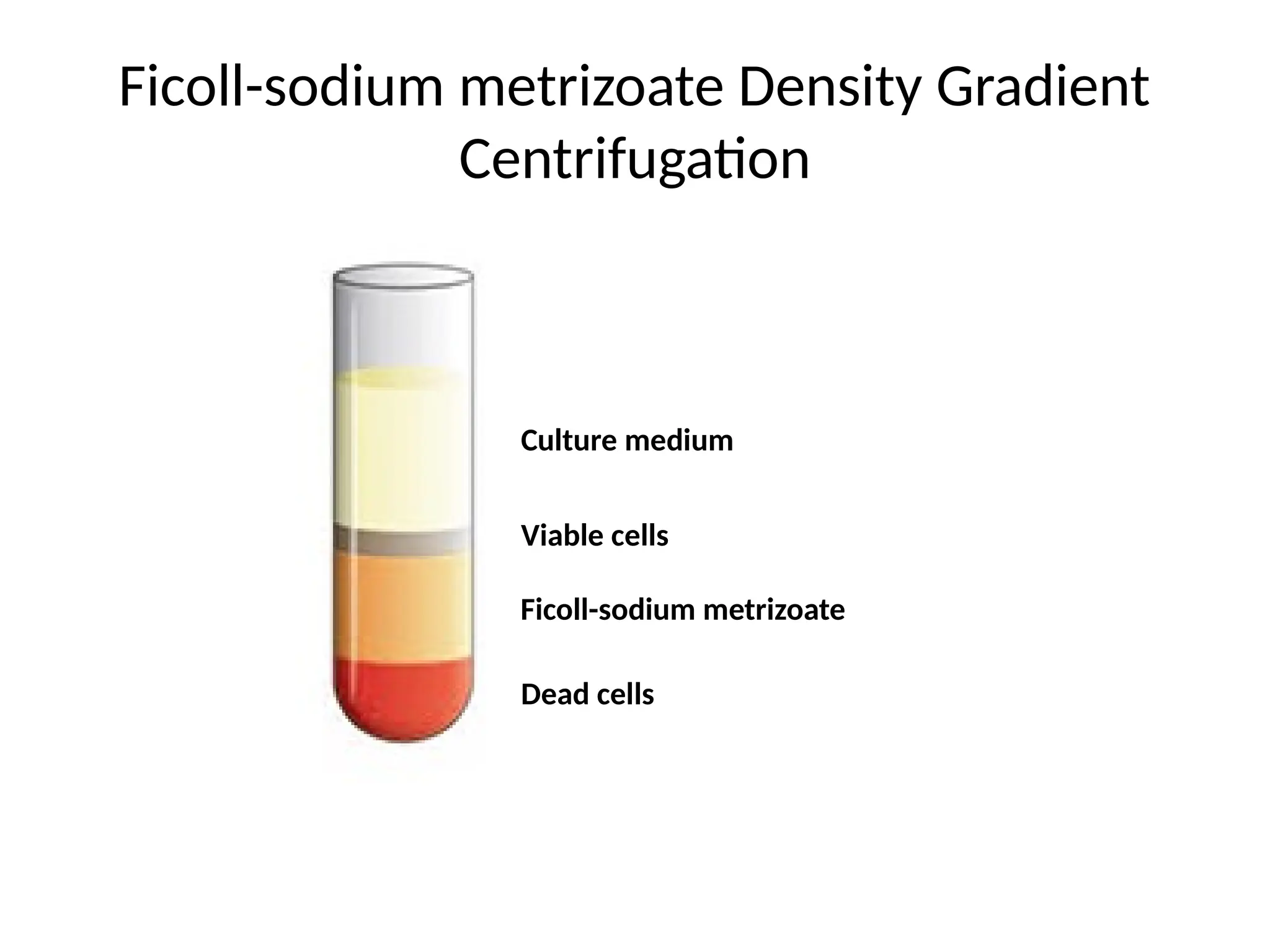 Preparation of cell line II_animal cell culture.pptx