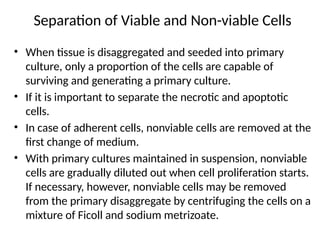 Preparation of cell line II_animal cell culture.pptx
