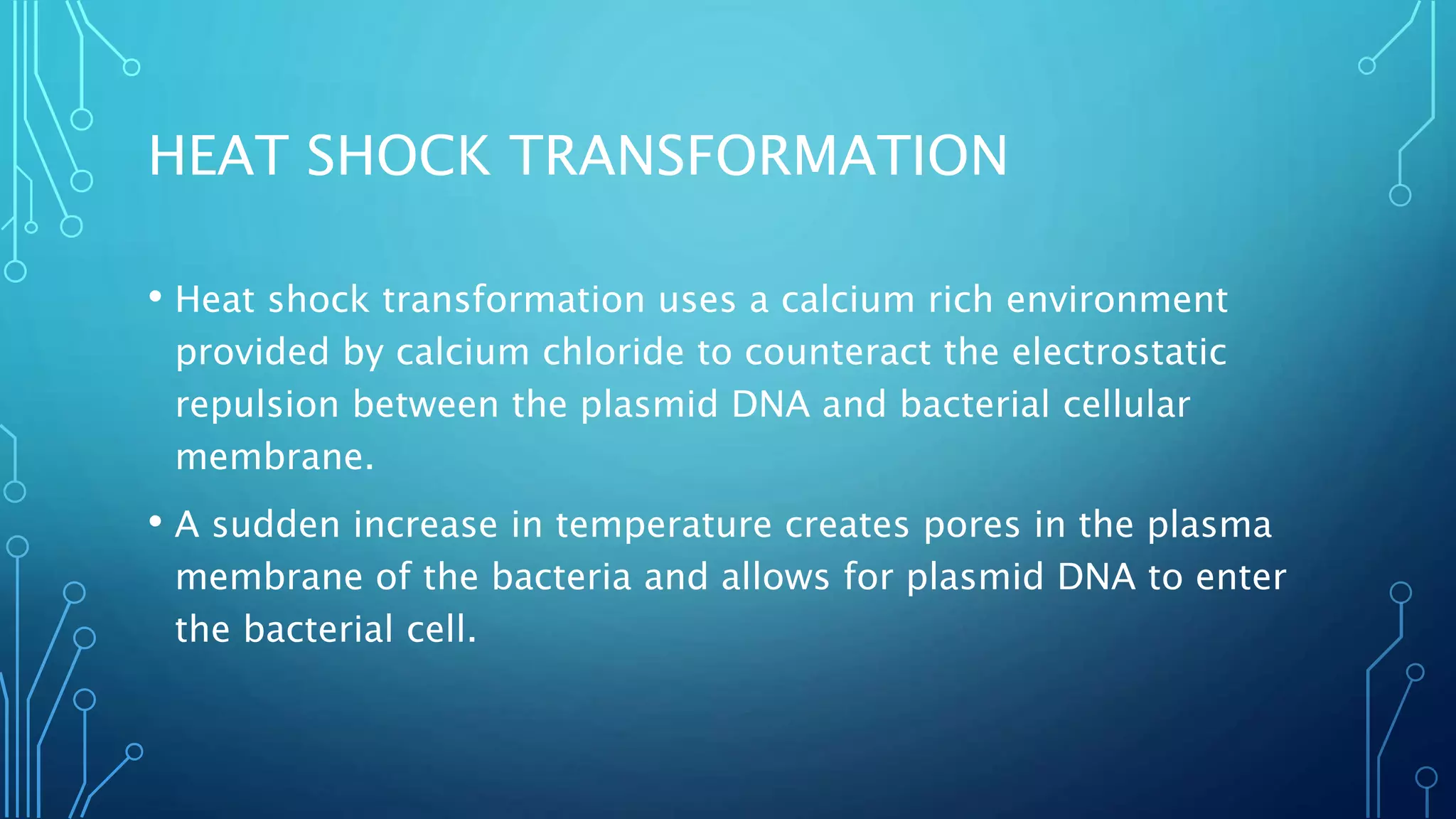 Preparation of competent cells | PPTX