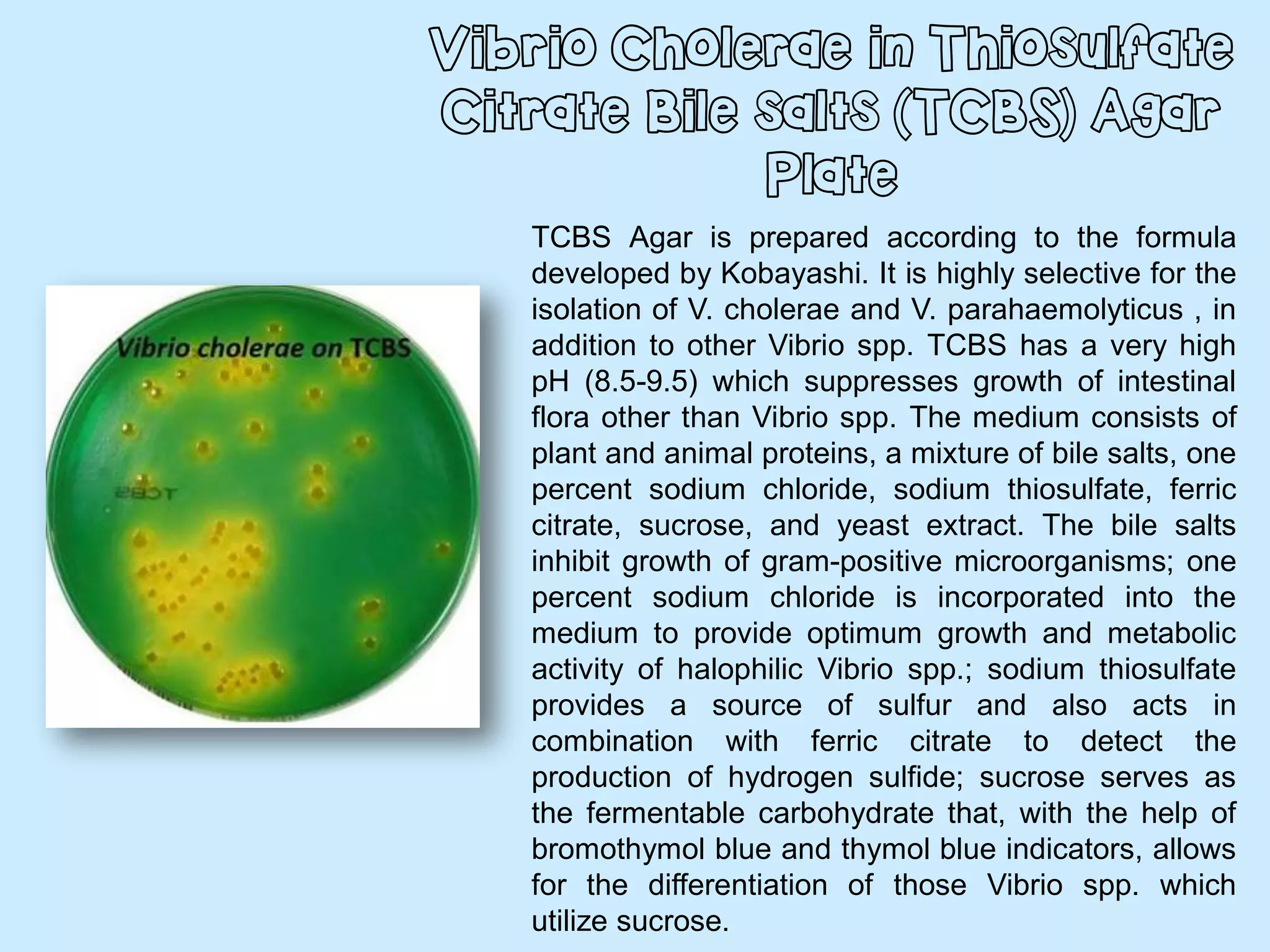 Preparation of culture media and cultivation of microorganism | PDF