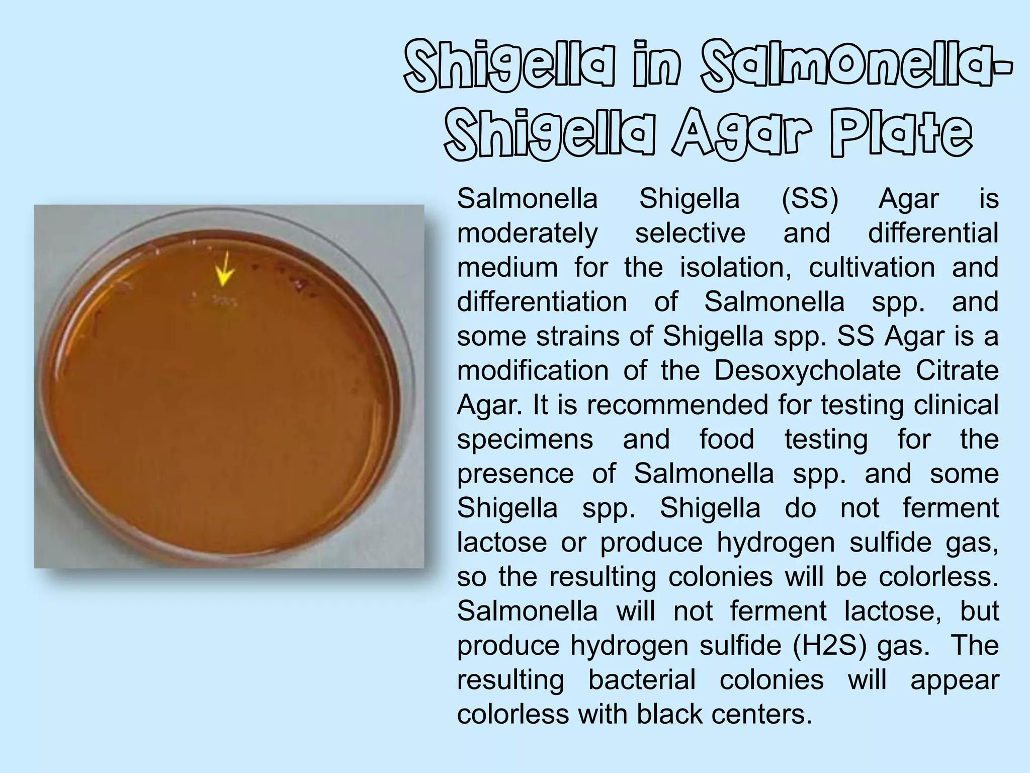 Preparation of culture media and cultivation of microorganism | PDF