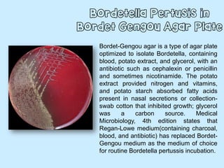 Preparation of culture media and cultivation of microorganism | PDF