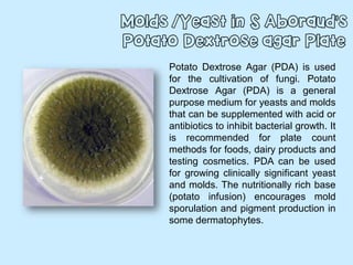 Preparation of culture media and cultivation of microorganism | PDF