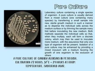Preparation of culture media and cultivation of microorganism | PDF