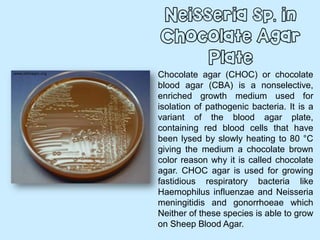 Preparation of culture media and cultivation of microorganism | PDF