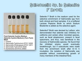 Preparation of culture media and cultivation of microorganism | PDF