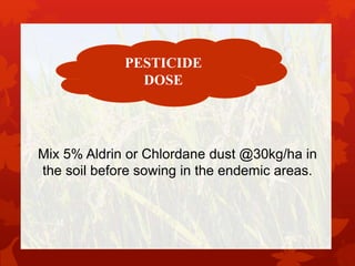 Preparation of different agro chemical doses for field & pot ...